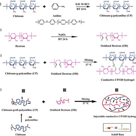 Synthesis Scheme Of The Cp Copolymer A Od Polymer B Cpod