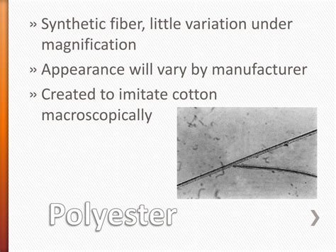 Ppt Microscopic Characteristics Of Common Fibers Powerpoint