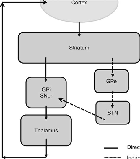 Schematic Diagram Of Direct Solid Arrows And Indirect Dotted Arrows Download Scientific