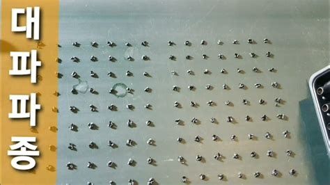 올씨드 자동파종기ㅡ대파 양파 부추 자동파종기 ㅡ동력이식기용 트레이 대파 자동파종기ㅡ스마트팜 자동파종 ㅡ대파재배 육묘용 자동파종기ㅡ코팅종자 파종기ㅡ식물공장 자동파종기