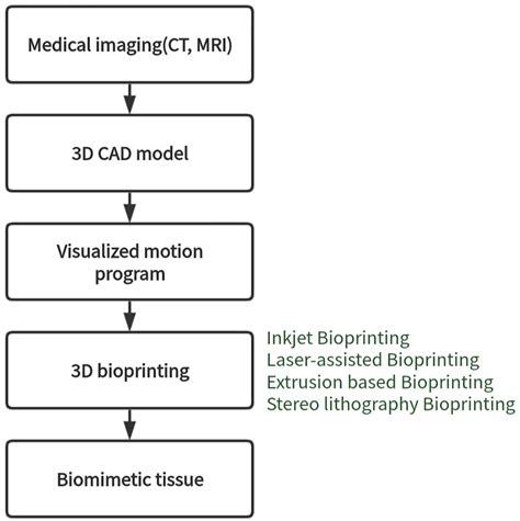 Schematic Of 3d Bioprinting Workflow And Different 3d Bioprinting Download Scientific Diagram