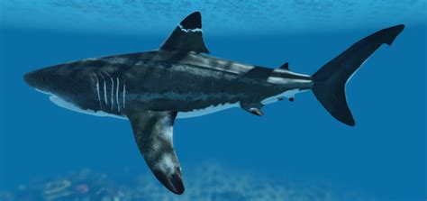 Megalodon Oceanic Roblox Wiki Fandom