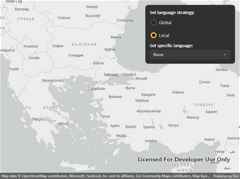 Configure Basemap Style Parameters Arcgis Maps Sdk For Net Esri
