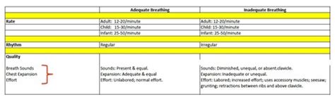 EMT Flashcards Quizlet