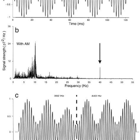 Illustration Of The Auditory Steady State Response Assr A A Pure