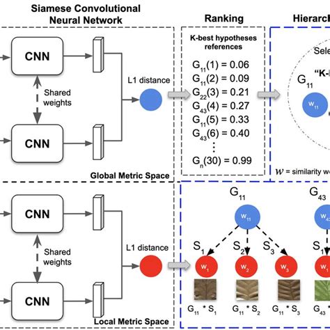 Overview Of The Proposed Method For Fine Grained Classification Of Download Scientific Diagram