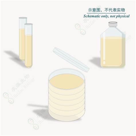 改良2216e海水琼脂培养基 Hzb875500 产品详情 灰藻生物