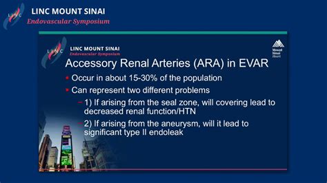 Management Of Accessory Renal Arteries And Large Ima During Evar