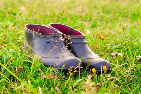 День рождения резиновых калош: Что за праздник - Новая Сибирь online