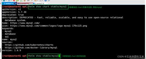 【kubernetes】k8s中包管理工具 helm 超详细解读 csdn博客