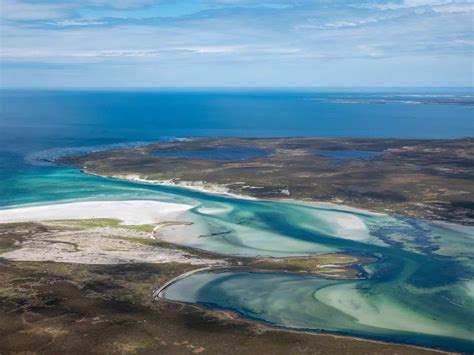Why The Falkland Islands Are A Must Visit For Wildlife Lovers