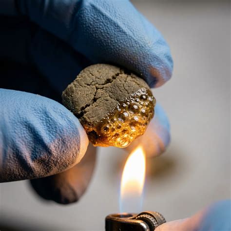 Full Melt Thca Bubble Hash — 6 Star Quality Lab Tested Hurcann