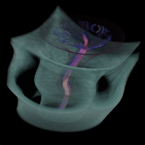 Texture Advection Method Combined With Mdtf A Highlighting Velocity