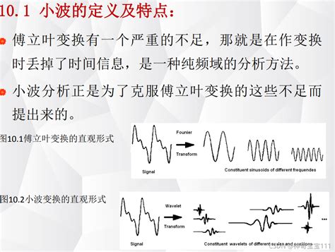 第10章 生物医学信号小波分析 小波分析 生物医学 csdn博客