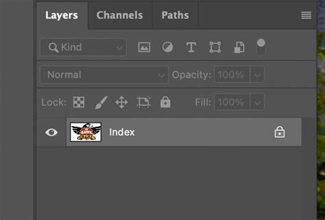 Solved Fixed Unable To Rasterize Eps Upon Opening In Pho Adobe