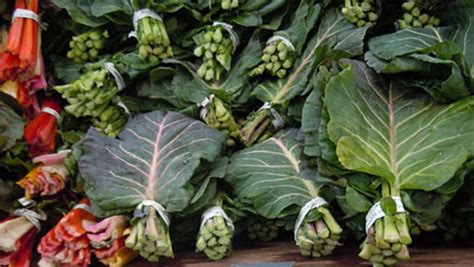 February Highlight Leafy Greens Edible Paradise