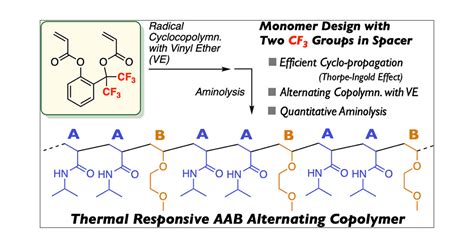 Radical Cyclocopolymerization Of A Transformable Divinyl Monomer With A Monovinyl Monomer And