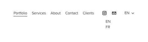 language switch button emplacement customize with code squarespace