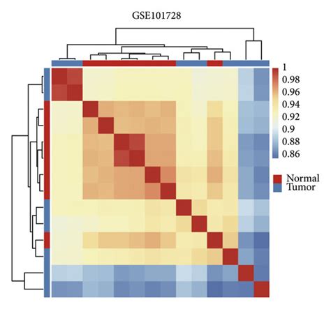 Identification Of Differentially Expressed Lncrna A Re Annotation Of Download Scientific