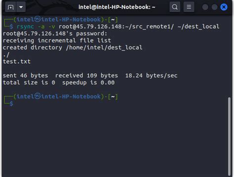 10 examples of rsync command in linux 2024 beebom