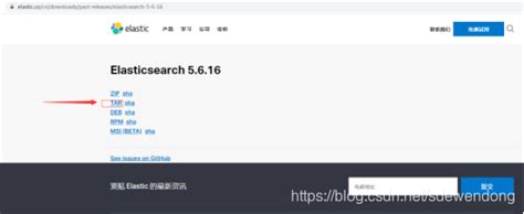 Elasticsearch集群3节点的安装配置bogon和node 1 Csdn博客