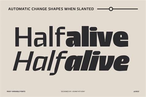 rogy variable fonts sans serif ft bold and ultra envato