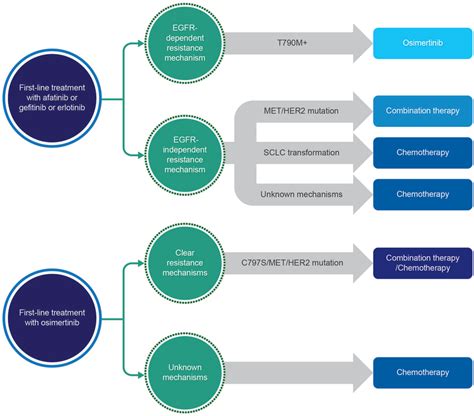 Different Treatment Strategies For Patients With Egfr Mutation Positive