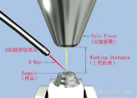 扫描电镜之eds的操作步骤 哔哩哔哩