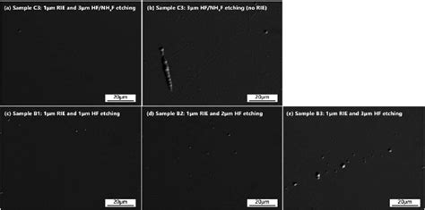 Optical Micrographs Showing Representative Surface Morphologies Of The Download Scientific