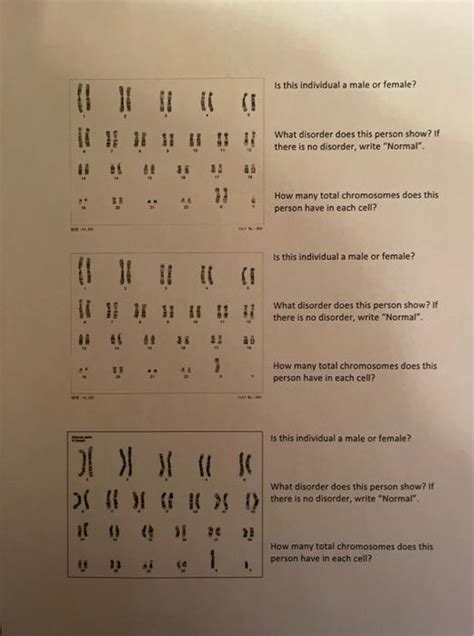 Solved Part 7 Practicing Genetics Problems Sex Chromosomes