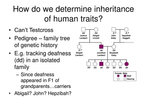 Ppt Patterns Of Inheritance Powerpoint Presentation Free Download