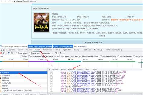Python爬虫 实战项目源码案例解析，全网最详细，看完百分比学会，高手小白都适合。python爬虫笔趣阁 Csdn博客