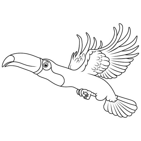 How To Draw A Toucan Flying Colour Flying Tropical Toucan Bird Wall