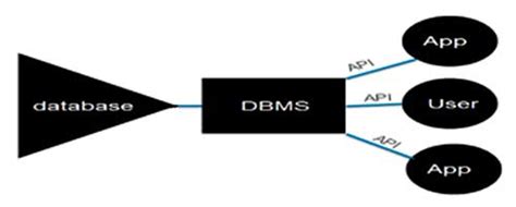 Fundamentals Of Database Management Sakshi Education