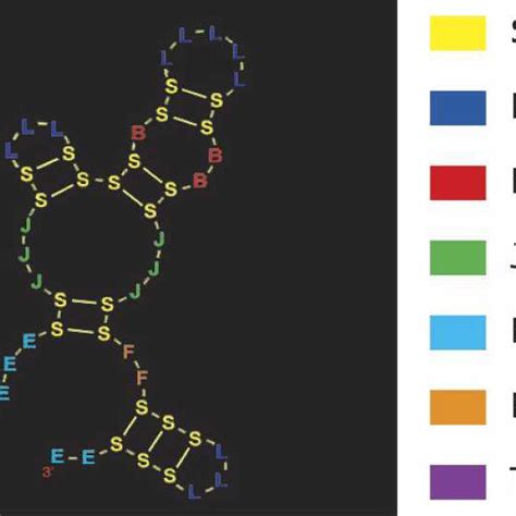 Structural Elements In Rna Secondary Structure There Are Six Different