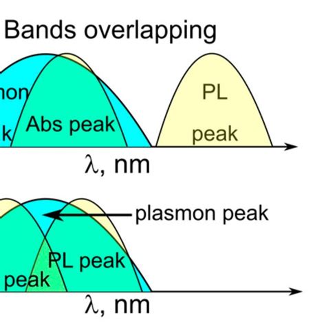 Cd And Mnp Interactions A Schematic Representation Of The Influence