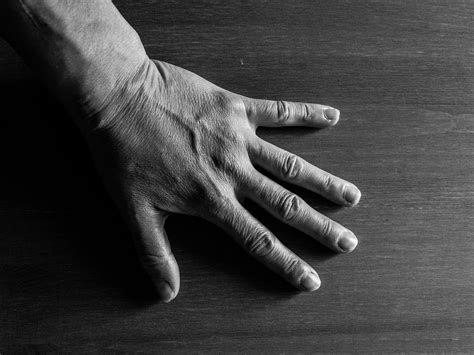 손 흑인과 백인 Pixabay의 무료 사진 Pixabay