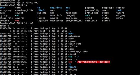 Linux杀不死的进程之cpu使用率700解决方法 服务器 亿速云