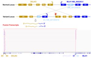 A New Platform For RNA Based Diagnosis Of Cancer Predisposition Syndromes JMG Contact Blog