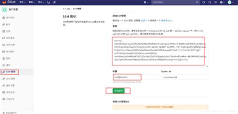 Git 之 Gitlab 私有项目仓库的搭建与使用git 连接私有gitlab Csdn博客