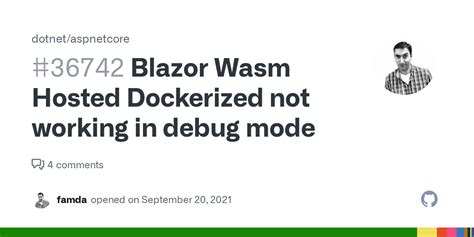 Blazor Wasm Hosted Dockerized Not Working In Debug Mode Issue Dotnet Aspnetcore GitHub