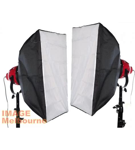 1300w Equivalent 2 Led Redhead Cool Light Kit