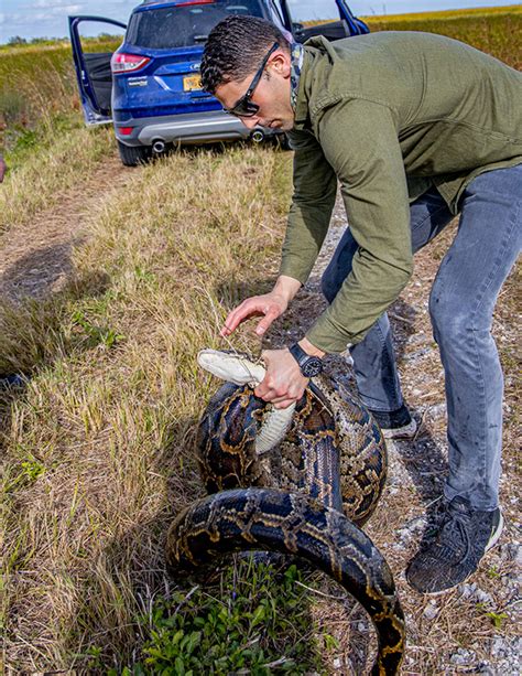 Python Trip Sol Y Mar Magazine