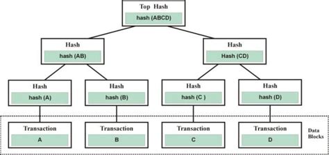 an example of merkle tree download scientific diagram