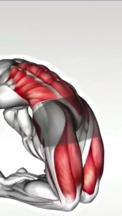 How To Increase Testerone Levels Fast Malehealth Youtube