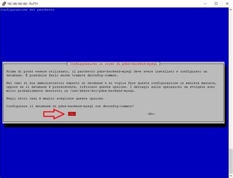 Installazione Di PowerDNS Con Backend MySQL Su Raspberry
