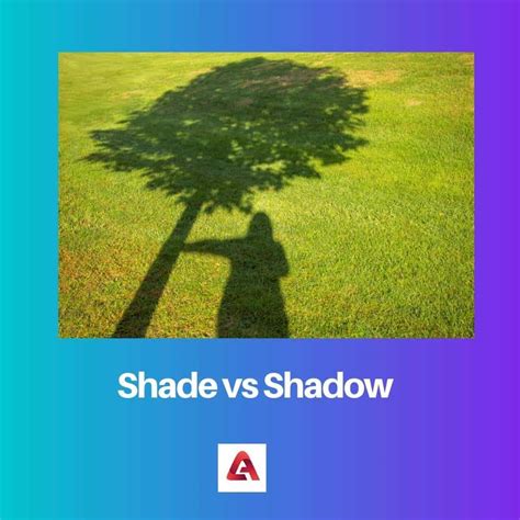 Shade Vs Shadow Difference And Comparison