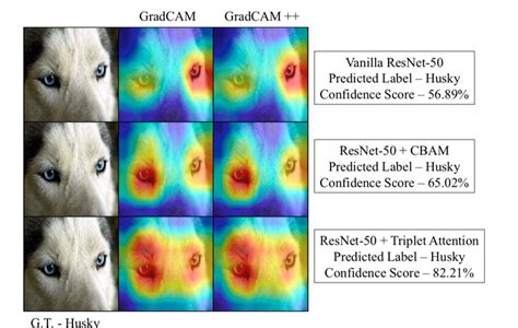 《convolutional Triplet Attention Module》解读（附源码） 知乎
