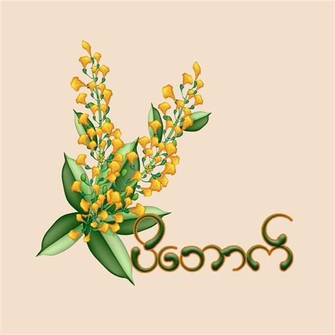 ပိတောက်