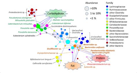 Association Map Among Fecal Bacterial Species And Dietary